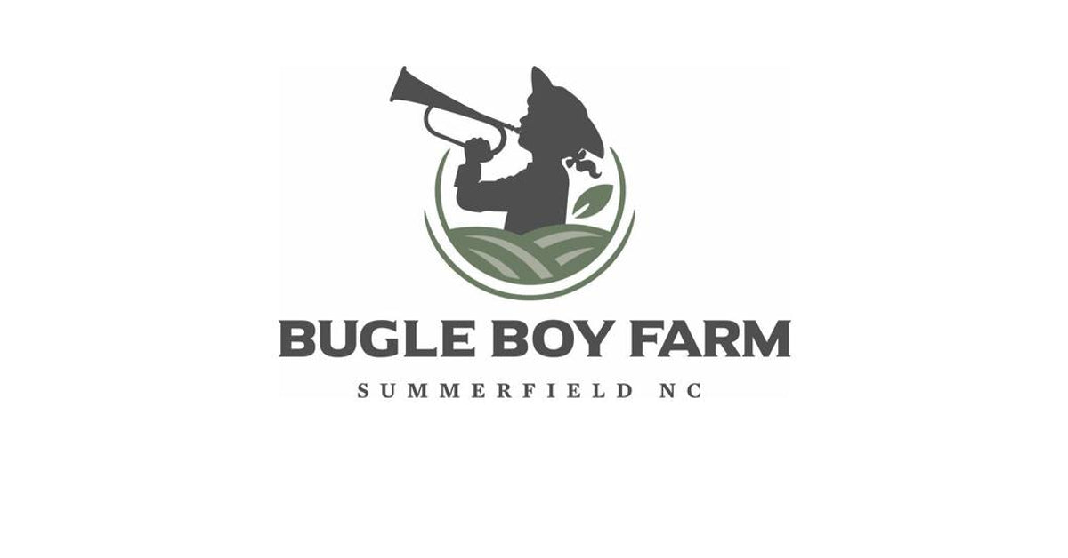 About – Bugle Boy Garlic